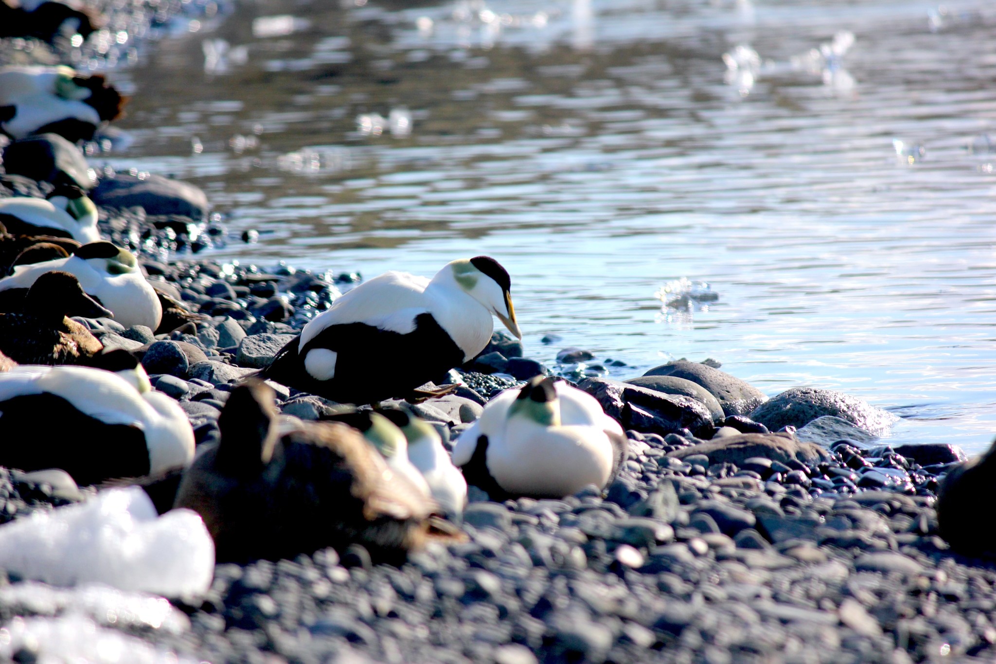 From ‘Phenomenon Chasing’ to ‘Silent Travel,’ 2025 tourism trends are ...