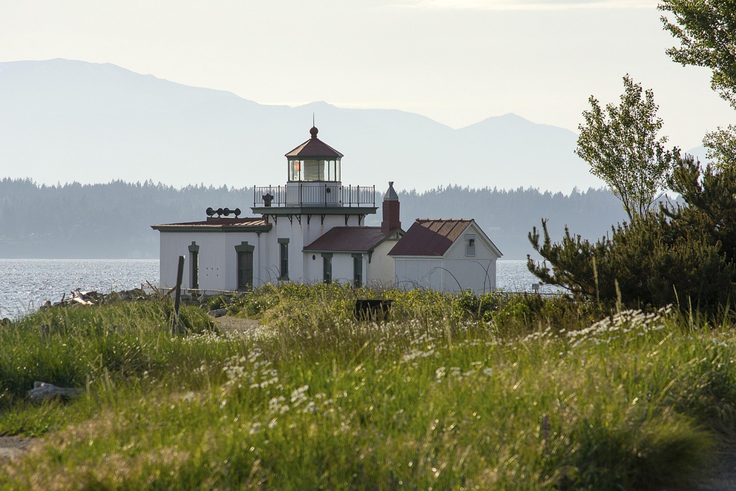 Lay of the land: Seattle’s ever-growing urban green spaces – Blinter ...