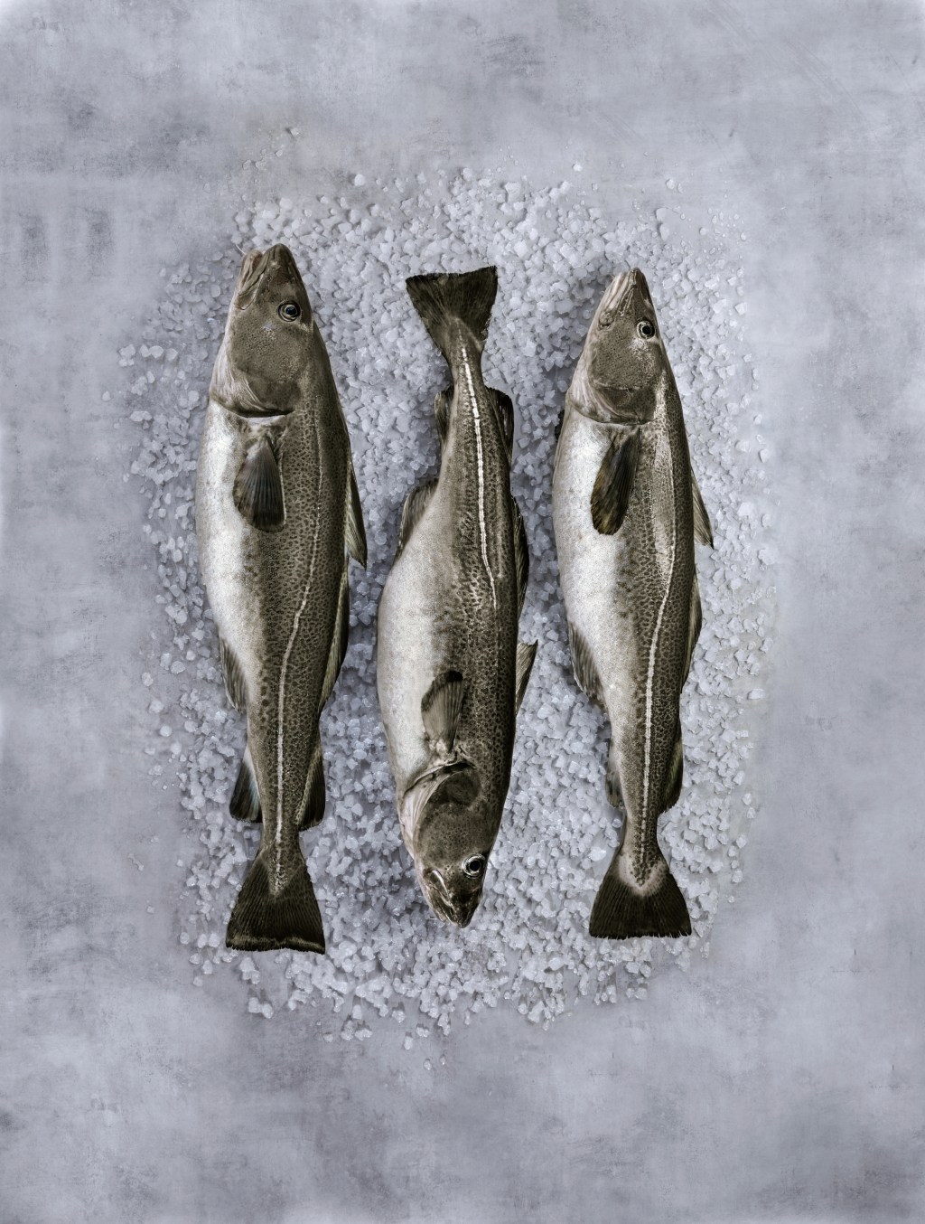 The legacy of Atlantic Cod and its continued hold on Norwegian culture ...