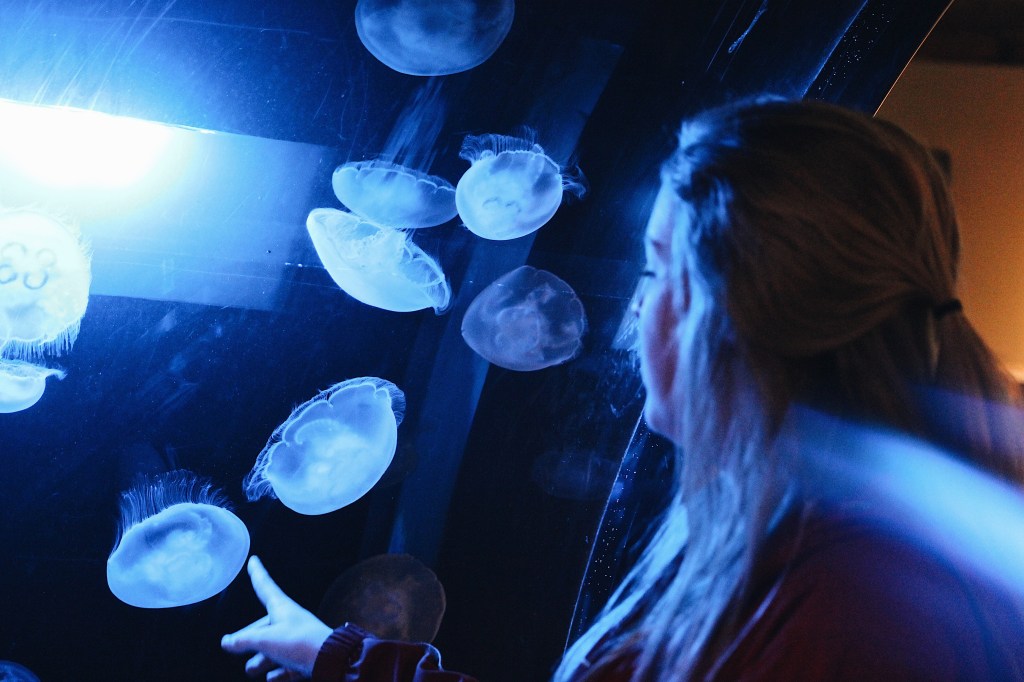 What is happening to the coral reefs? – Blinter Magazine